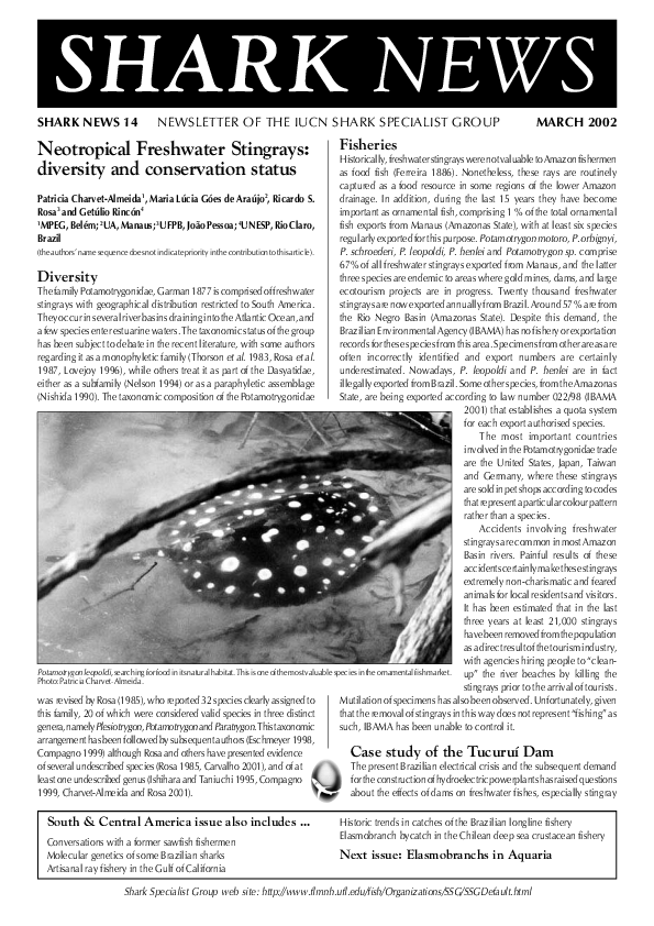 (PDF) Neotropical freshwater stingrays: diversity and conservation status