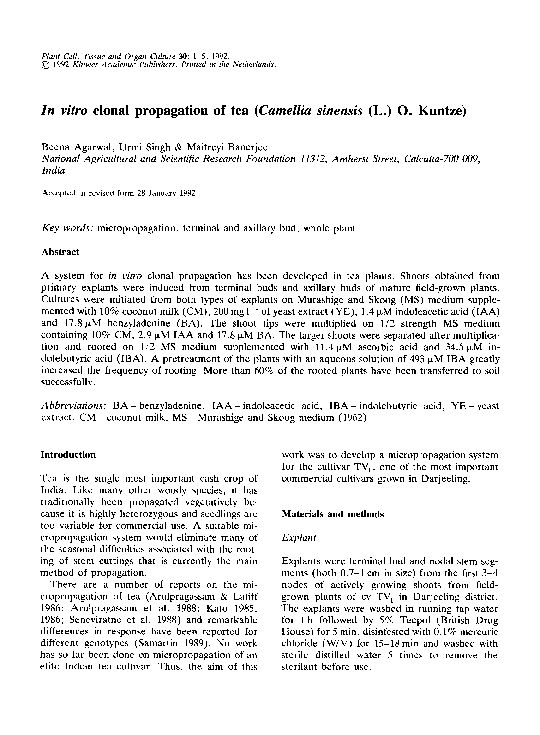 (PDF) In vitro clonal propagation of tea (Camellia sinensis (L.) O. Kuntze)