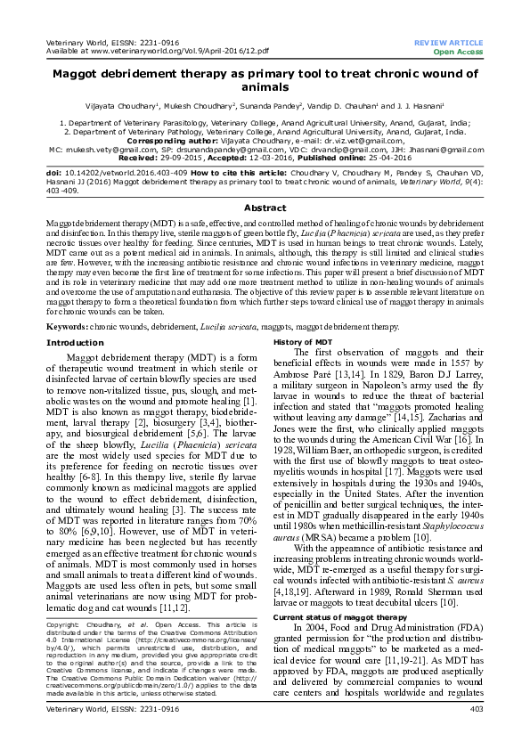 (PDF) Maggot debridement therapy as primary tool to treat chronic wound ...
