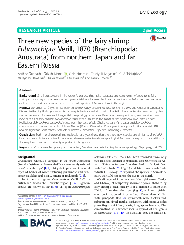 (PDF) Three new species of the fairy shrimp Eubranchipus Verill, 1870 ...
