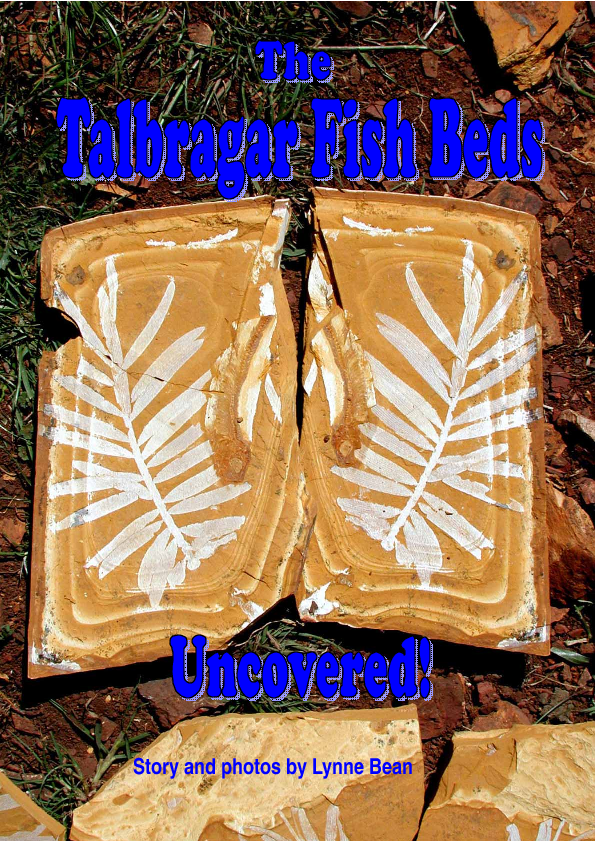 (PDF) Plants of the Talbragar fossil bed