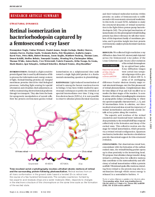 (PDF) Retinal isomerization in bacteriorhodopsin captured by a ...