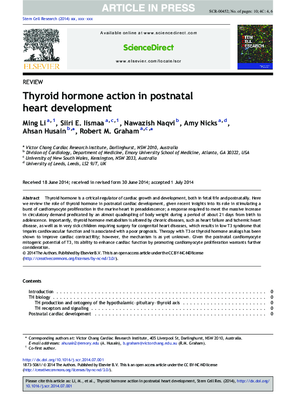 (PDF) Thyroid hormone action in postnatal heart development