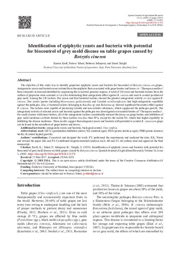 (PDF) Identification of epiphytic yeasts and bacteria with potential for biocontrol of grey mold ...