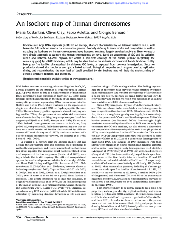 (PDF) An isochore map of human chromosomes