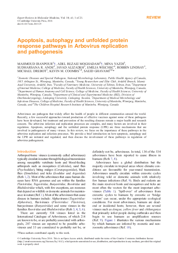 (PDF) Apoptosis, autophagy and unfolded protein response pathways in ...