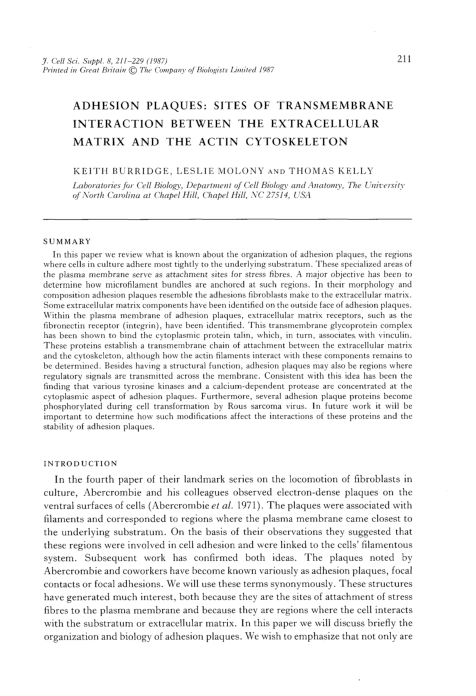 (PDF) Adhesion Plaques: Sites of Transmembrane Interaction between the ...