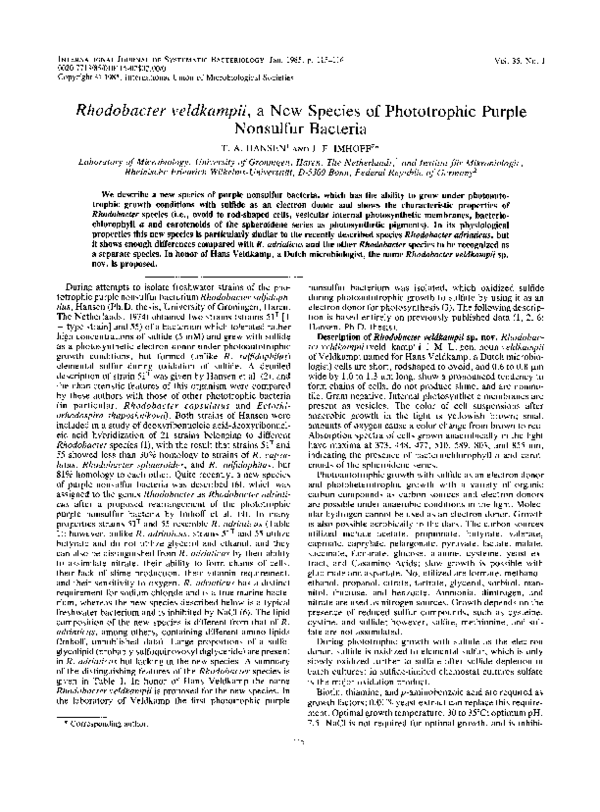 (PDF) Rhodobacter veldkampii, a New Species of Phototrophic Purple ...