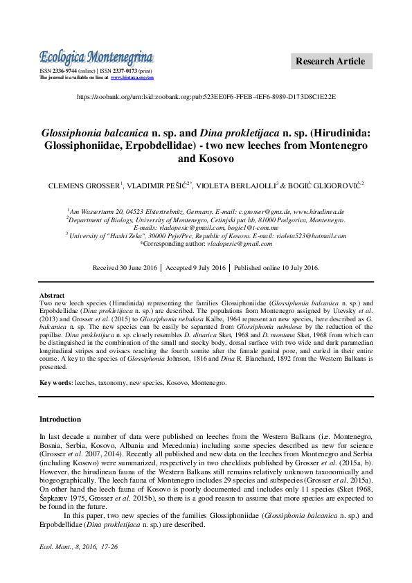(PDF) Glossiphonia Balcanica N. Sp. And Dina Prokletijaca N. Sp ...