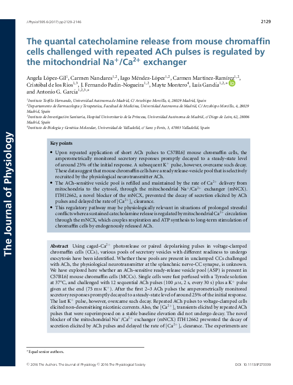 (PDF) The quantal catecholamine release from mouse chromaffin cells ...