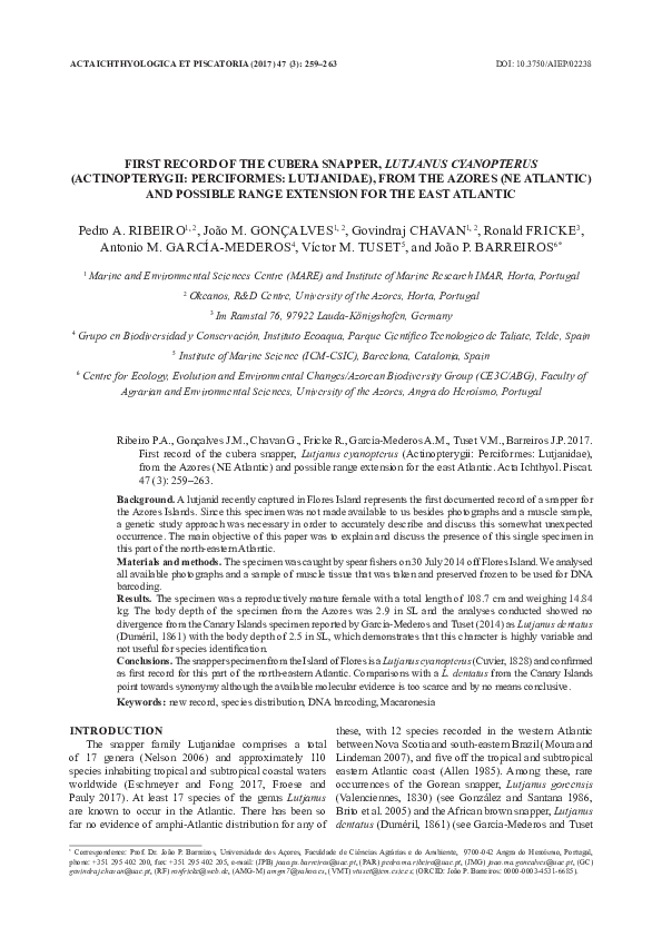 (PDF) First record of the cubera snapper, Lutjanus cyanopterus ...