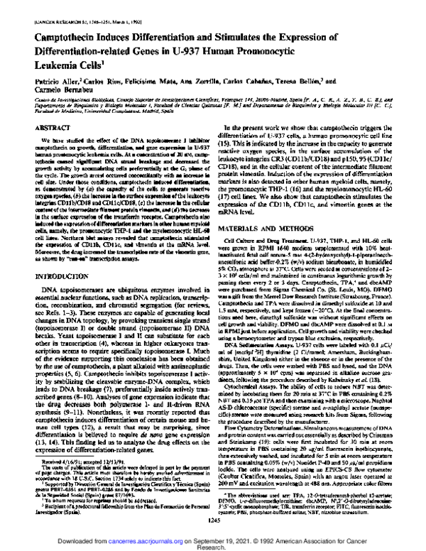 (PDF) Camptothecin Induces Differentiation and Stimulates the ...