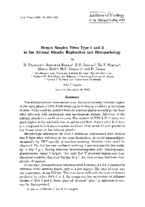 (PDF) Herpes simplex virus type 1 and 2 in the adrenal glands ...