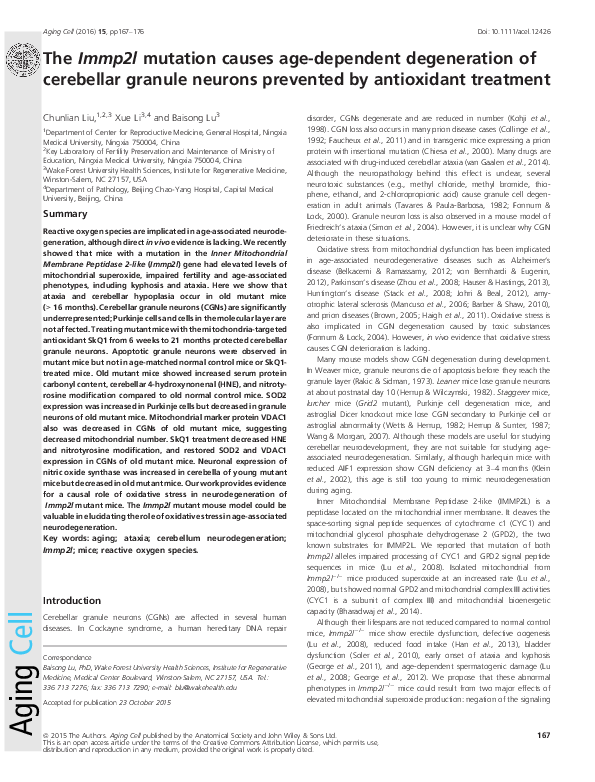 (PDF) The Immp2l mutation causes age-dependent degeneration of ...