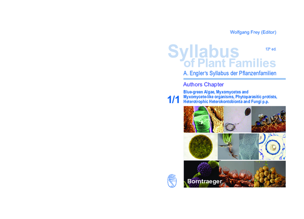 (PDF) Fruit body-forming protists: Myxomycetes and Myxomycete-like ...