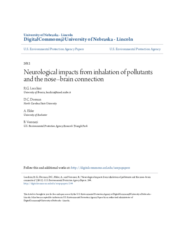 (PDF) Neurological impacts from inhalation of pollutants and the nose ...