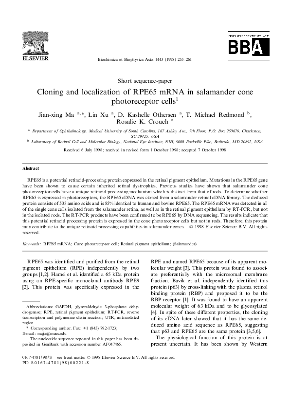 (PDF) Cloning and localization of RPE65 mRNA in salamander cone ...