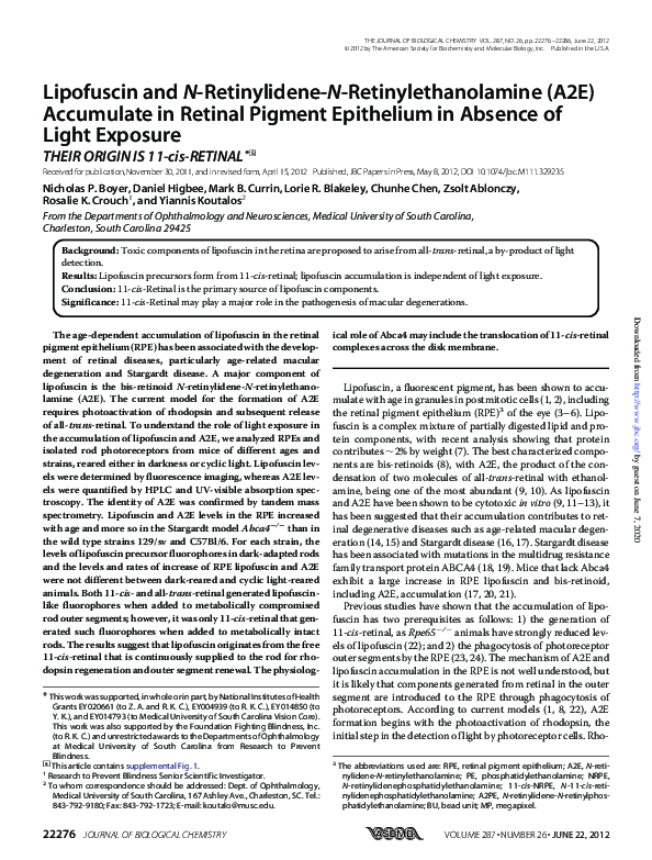 (PDF) Lipofuscin and N-Retinylidene-N-Retinylethanolamine (A2E ...