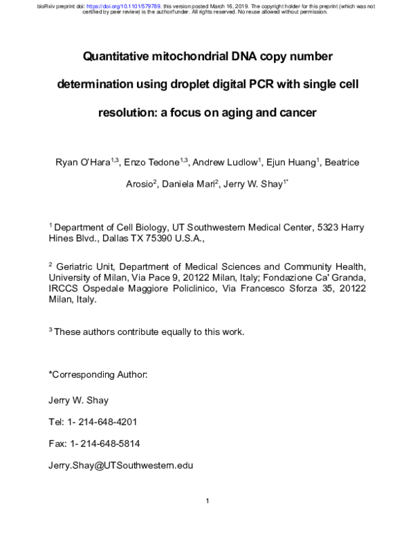 (PDF) Quantitative mitochondrial DNA copy number determination using ...