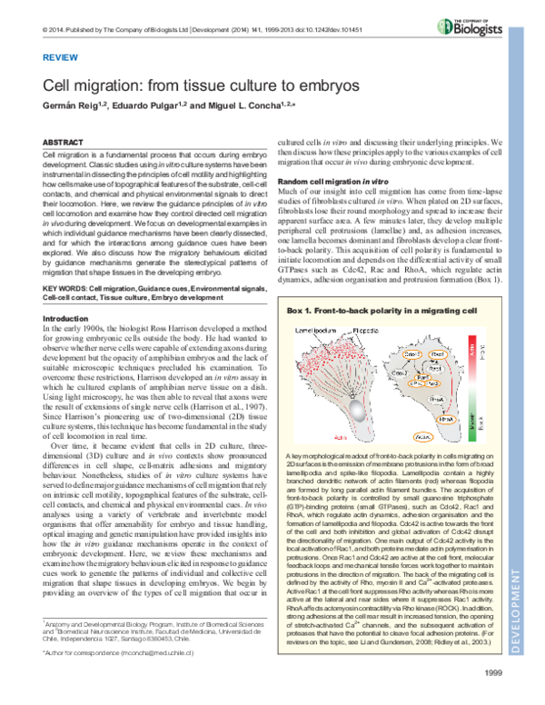 (PDF) Cell migration: from tissue culture to embryos | Germán Reig ...