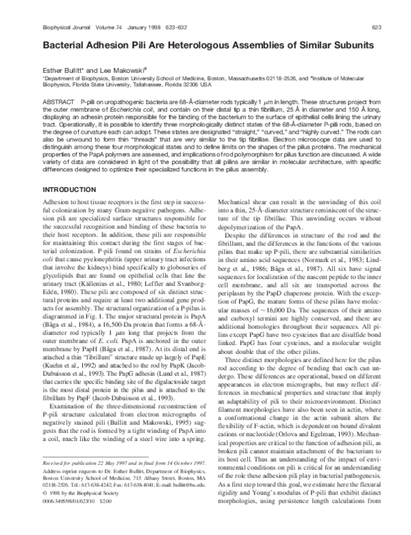 (PDF) Bacterial Adhesion Pili Are Heterologous Assemblies of Similar ...