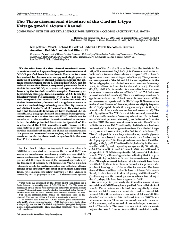 (PDF) The Three-dimensional Structure of the Cardiac L-type Voltage ...