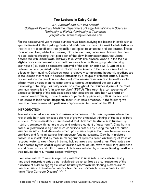 (PDF) Toe lesions in dairy cattle