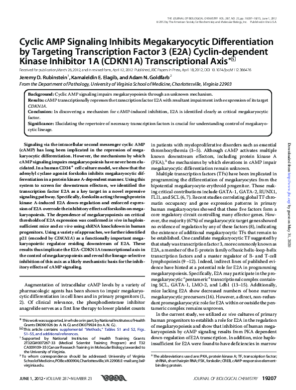 (PDF) Cyclic AMP Signaling Inhibits Megakaryocytic Differentiation by ...