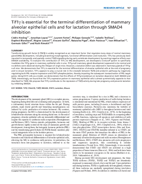 (PDF) Tif1 is essential for the terminal differentiation of mammary ...