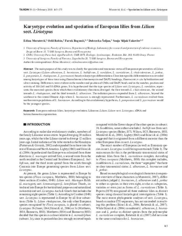 (PDF) Karyotype evolution and speciation of European lilies from Lilium ...