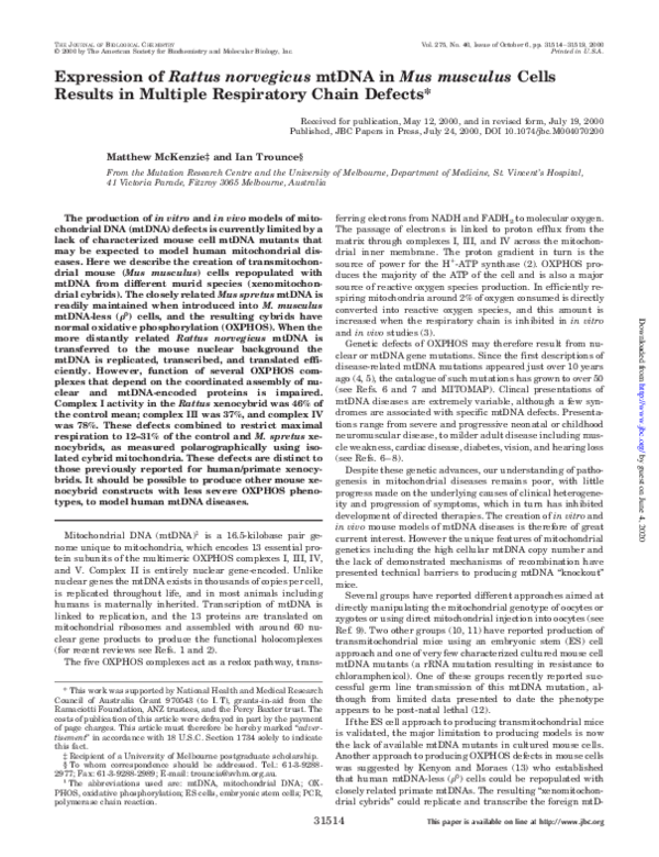(PDF) Expression of Rattus norvegicus mtDNA in Mus musculus cells ...