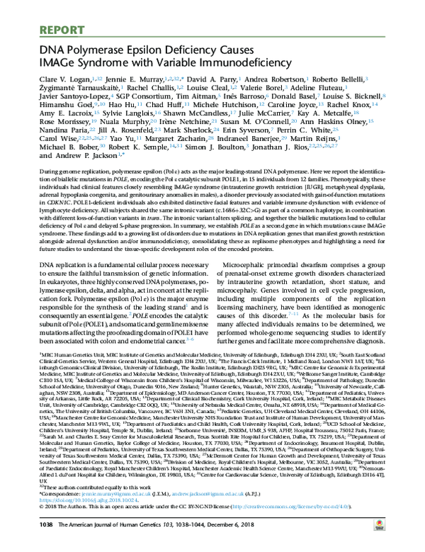 (PDF) POLE Mutations Link Pol ε Deficiency to IMAGe
