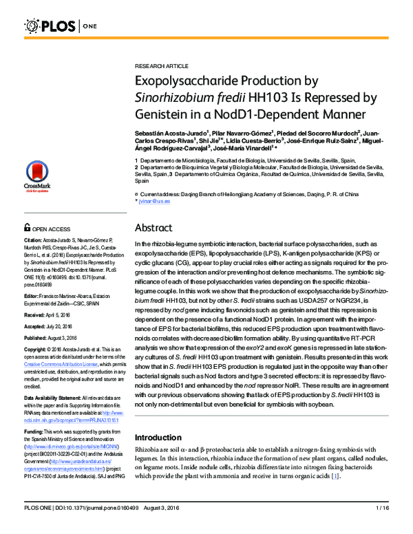 (PDF) Exopolysaccharide Production by Sinorhizobium fredii HH103 Is ...