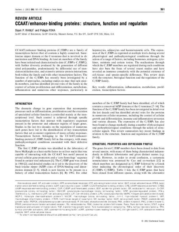 Pdf Ccaatenhancer Binding Proteins Structure Function And Regulation