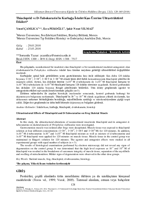 (PDF) Thiacloprid ve D-Tubokurarin’in Kurbağa İskelet Kası Üzerine ...