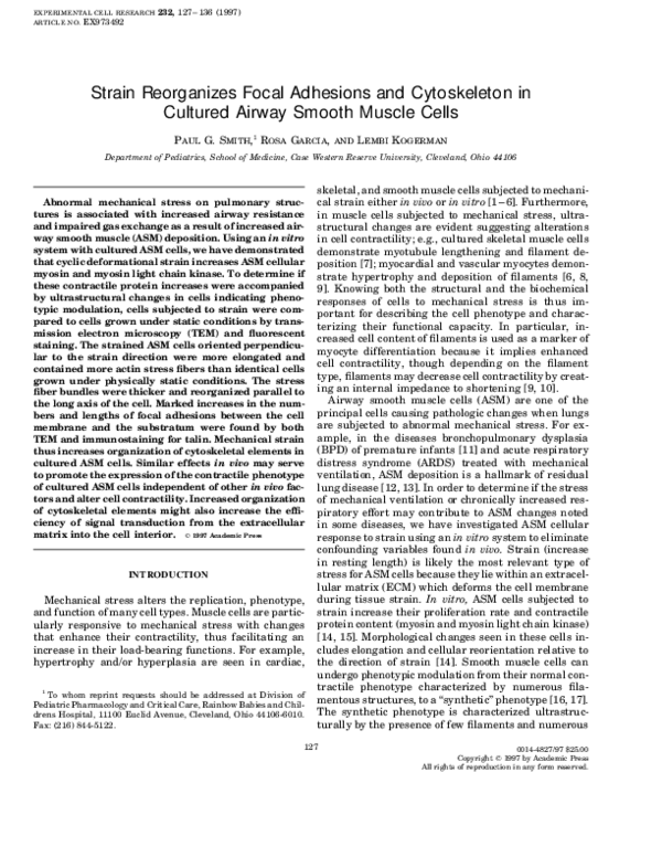 (PDF) Strain Reorganizes Focal Adhesions and Cytoskeleton in Cultured ...