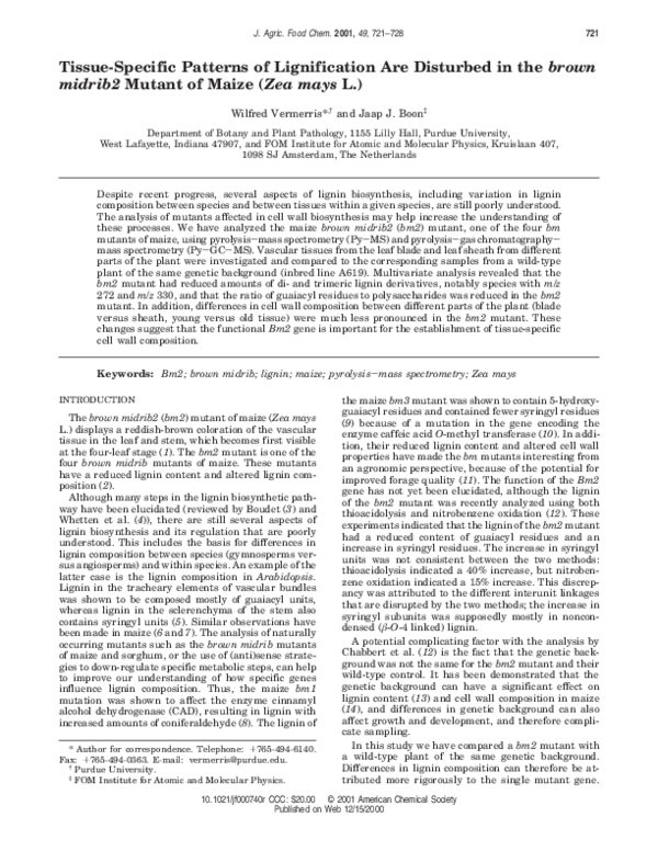 (PDF) Tissue-Specific Patterns of Lignification Are Disturbed in the ...