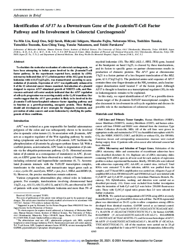 (PDF) Identification of AF17 as a downstream gene of the β-catenin/T ...
