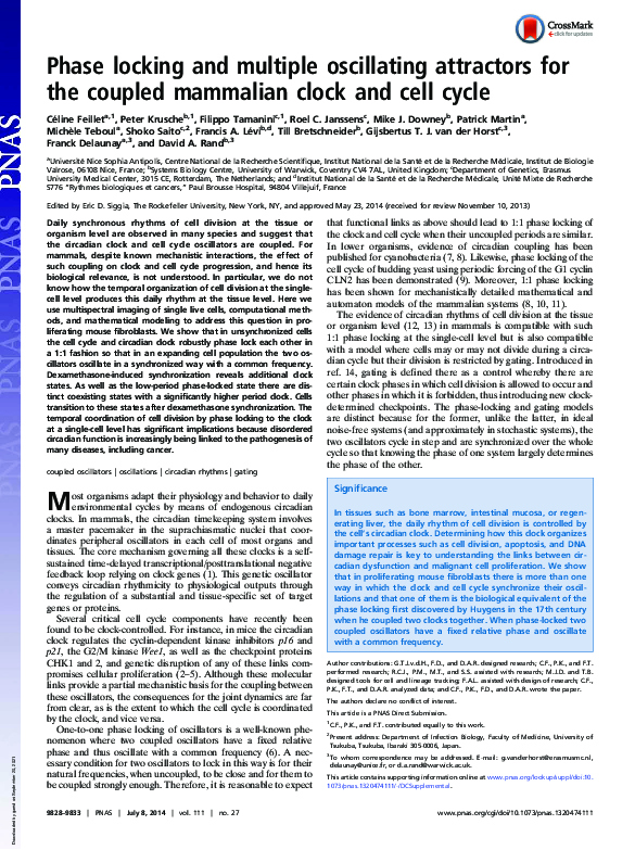 (PDF) Phase locking and multiple oscillating attractors for the coupled ...