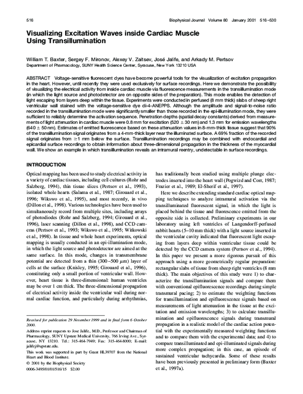 (PDF) Visualizing Excitation Waves inside Cardiac Muscle Using Transillumination