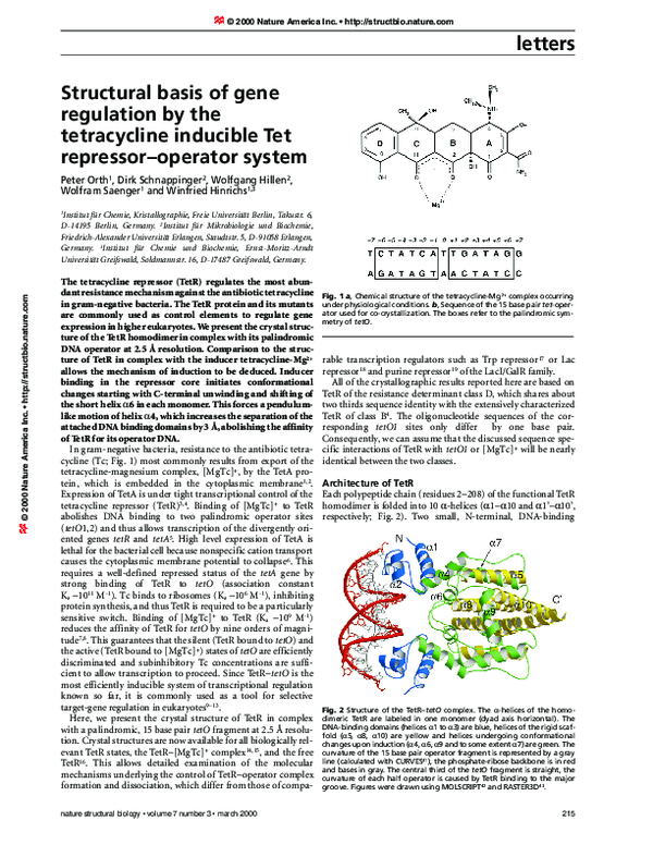 (PDF) Structural basis of gene regulation by the tetracycline inducible ...