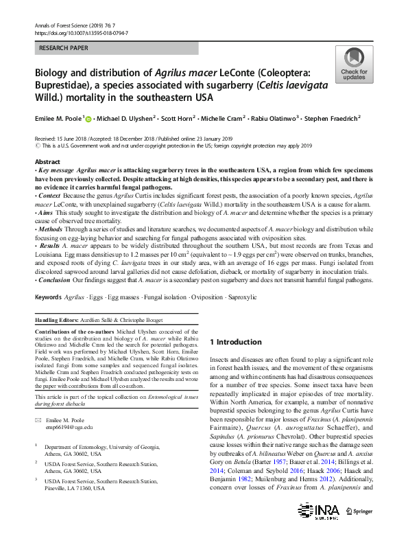 (PDF) Biology and distribution of Agrilus macer LeConte (Coleoptera ...