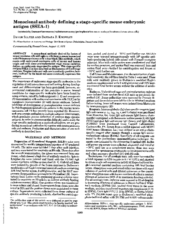(PDF) Monoclonal antibody defining a stage-specific mouse embryonic ...