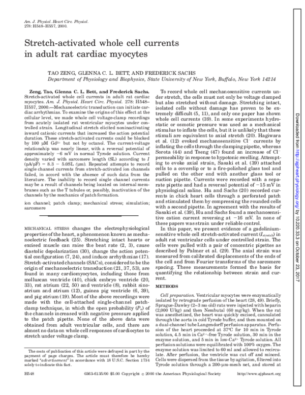 (PDF) Stretch-activated whole cell currents in adult rat cardiac myocytes
