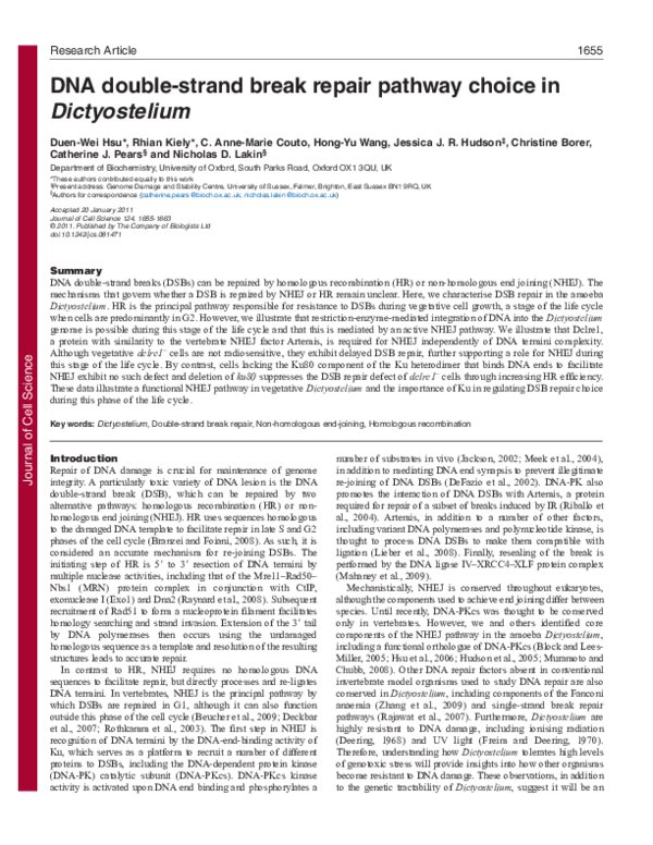 (PDF) DNA double-strand break repair pathway choice in Dictyostelium