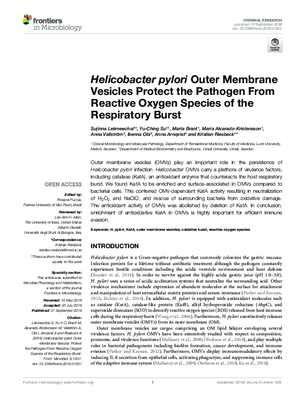 (PDF) Helicobacter pylori Outer Membrane Vesicles Protect the Pathogen ...