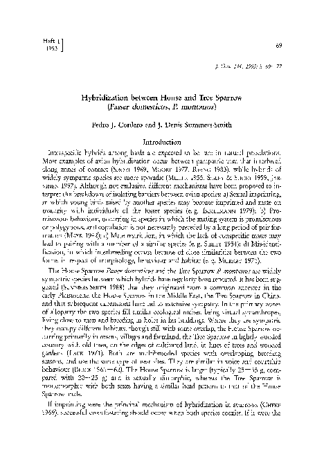 (PDF) Hybridization between House and Tree Sparrow (Passer domesticus,P ...