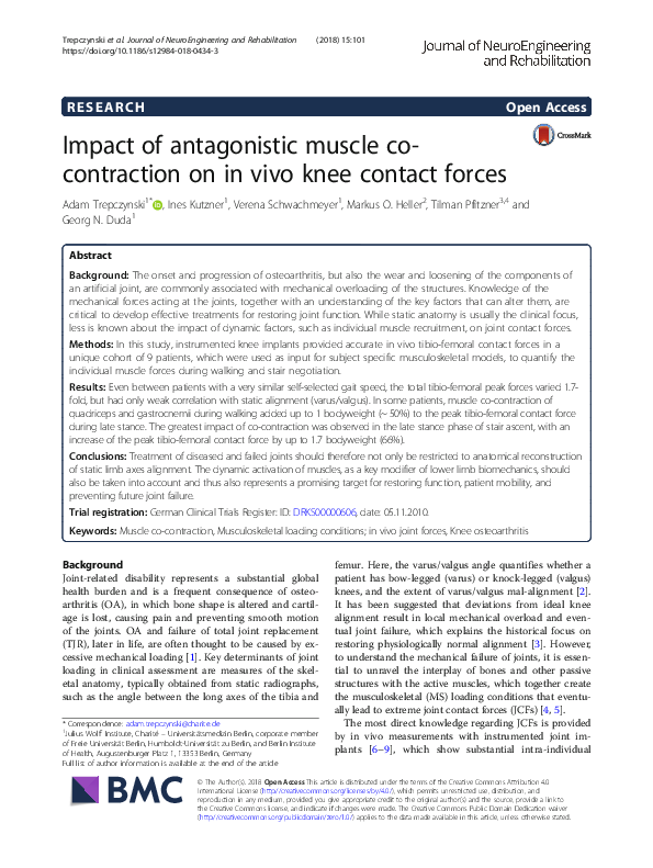 (PDF) Impact of antagonistic muscle co-contraction on in vivo knee ...