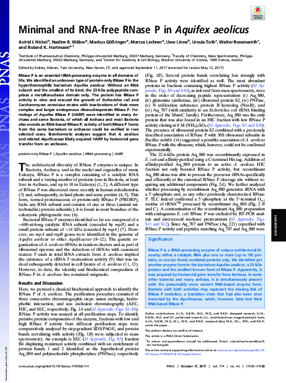 (PDF) Minimal and RNA-free RNase P inAquifex aeolicus