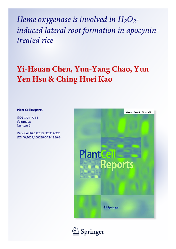 (PDF) Heme Oxygenase in H2O2-Induced Root Formation